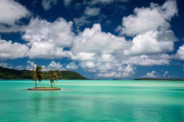 Martinique, Réunion, Polynésie… Quelle île des DOM-TOM est faite pour ...